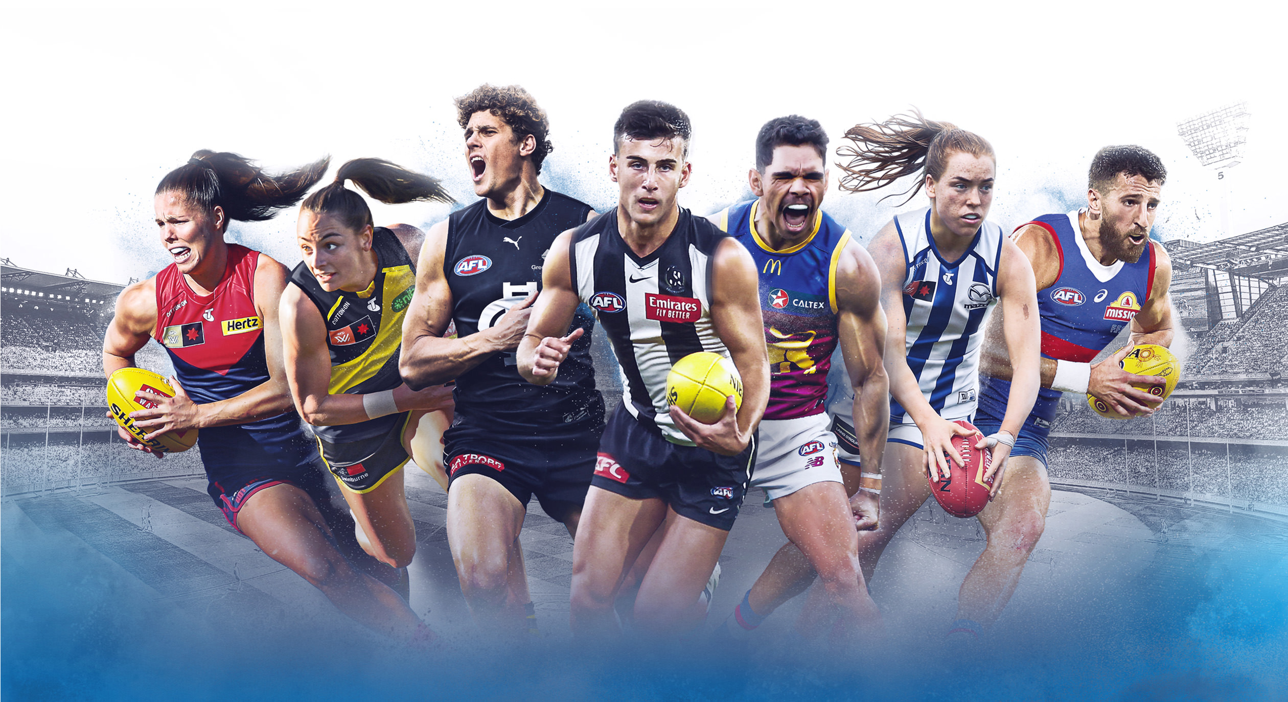 AFL Membership 2022-2024 - Big Red Dog